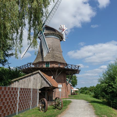 Ammerland Touristik | Entdecken Sie die Parklandschaft Ammerland